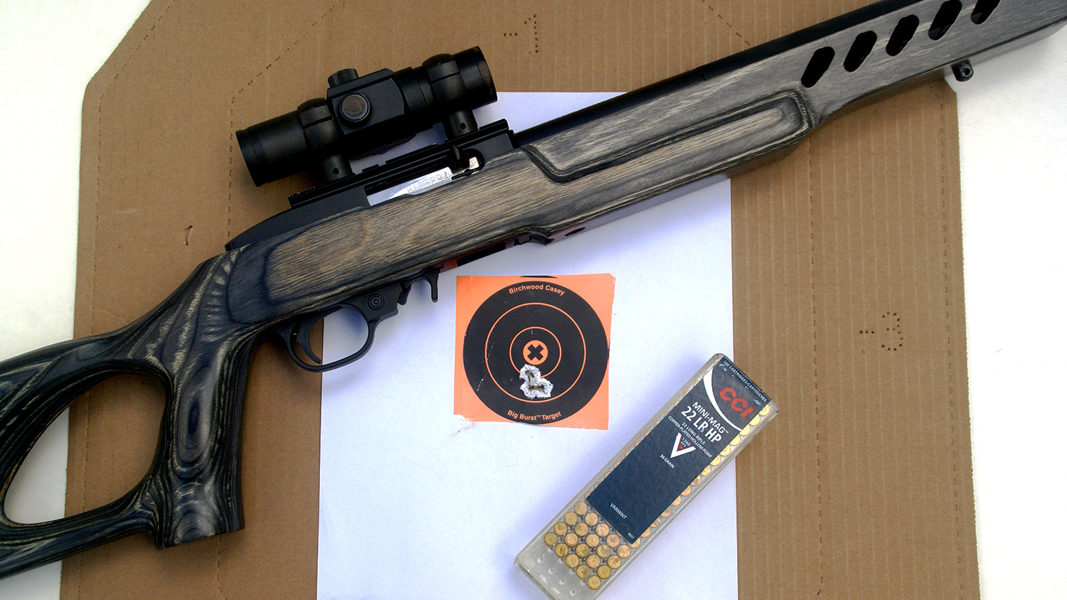Review Ruger 10 22 Target Lite An NRA Shooting Sports Journal