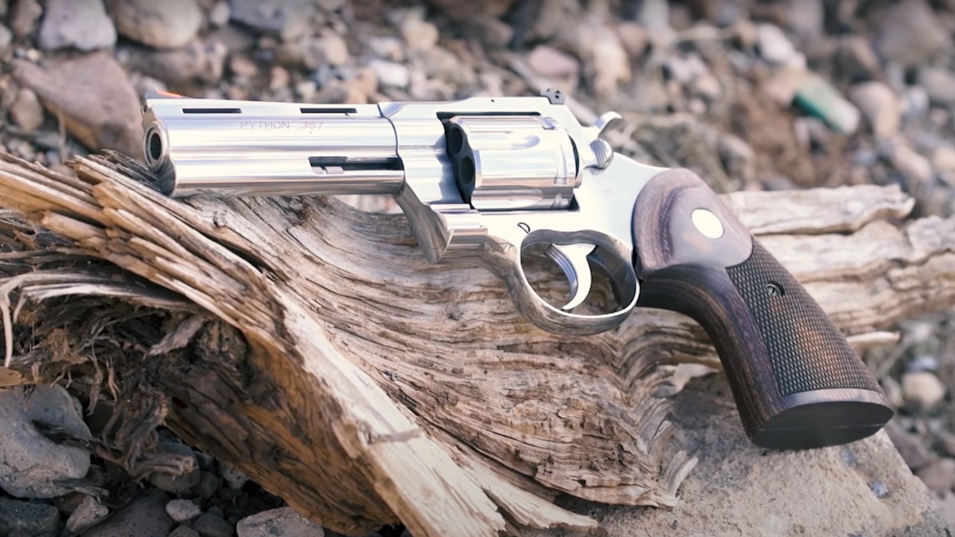 WATCH: All About Modern Colt Revolvers | An NRA Shooting Sports Journal